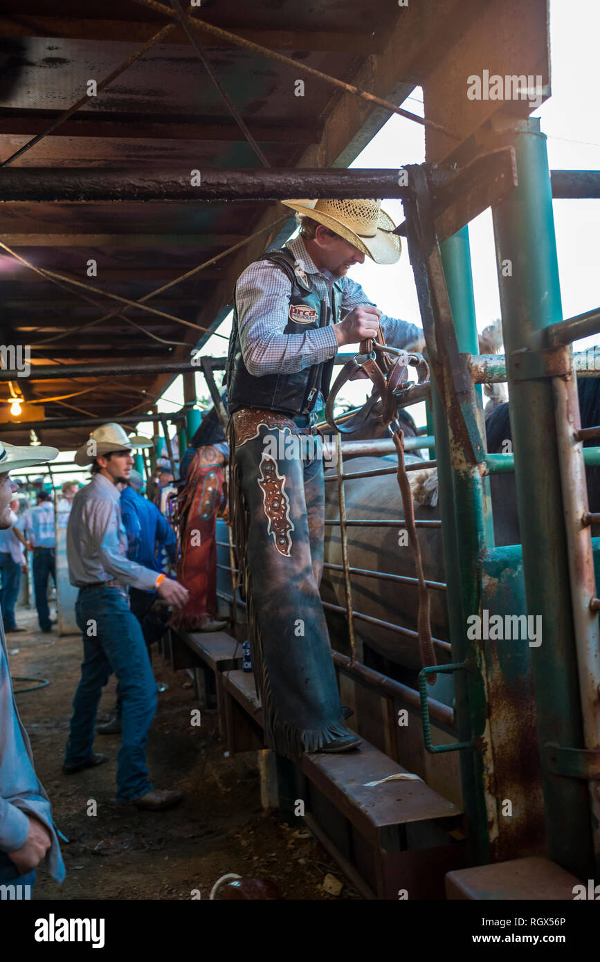 Professional rodeo cowboys Stock Photo - Alamy