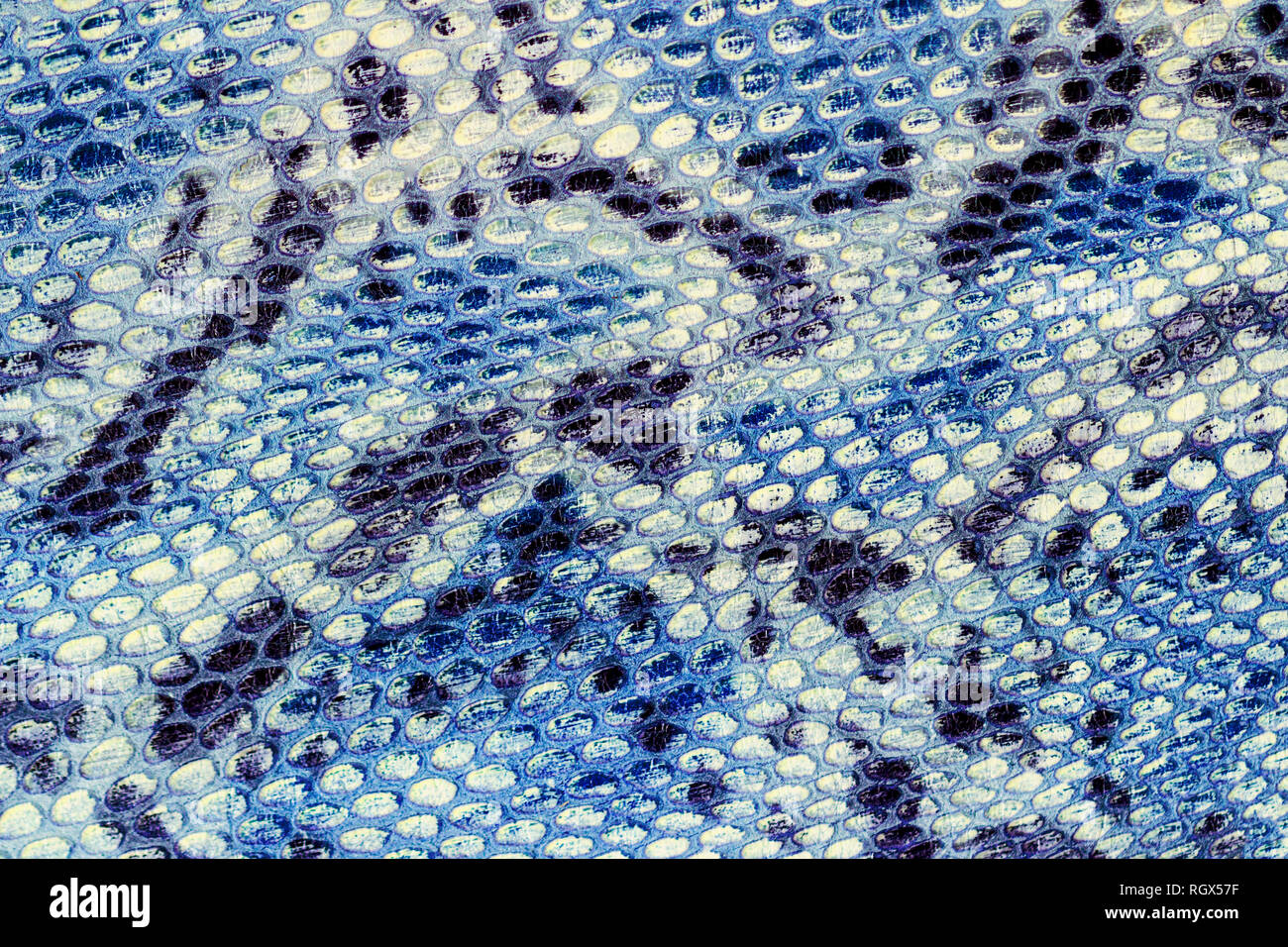 Snakeskin pattern hi-res stock photography and images - Alamy