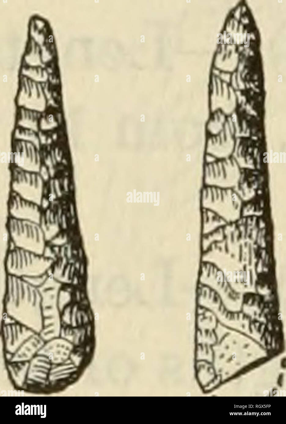 . Bulletin. Ethnology. L N 0 Figure 3.—Projectile points and drills, a ...