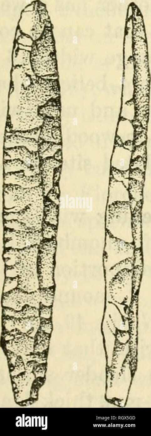 Cross section archeology hi-res stock photography and images - Alamy