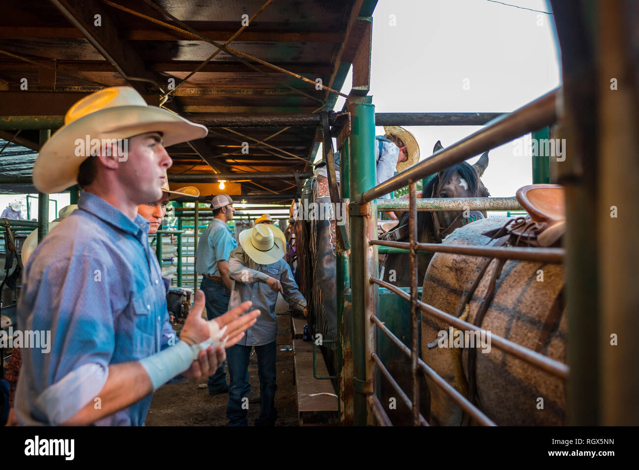 Professional rodeo cowboys Stock Photo - Alamy
