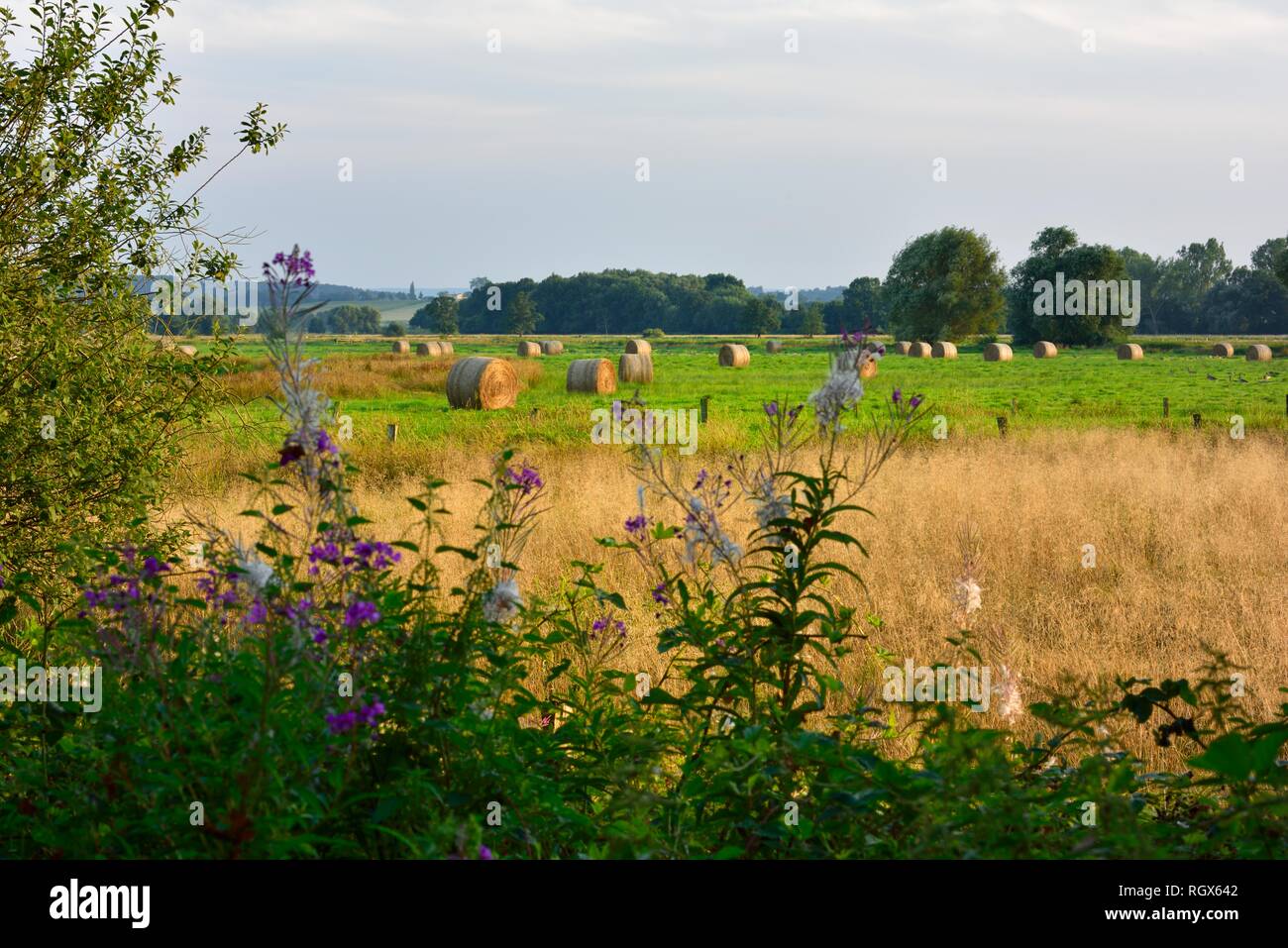Heurolle hi-res stock photography and images - Alamy
