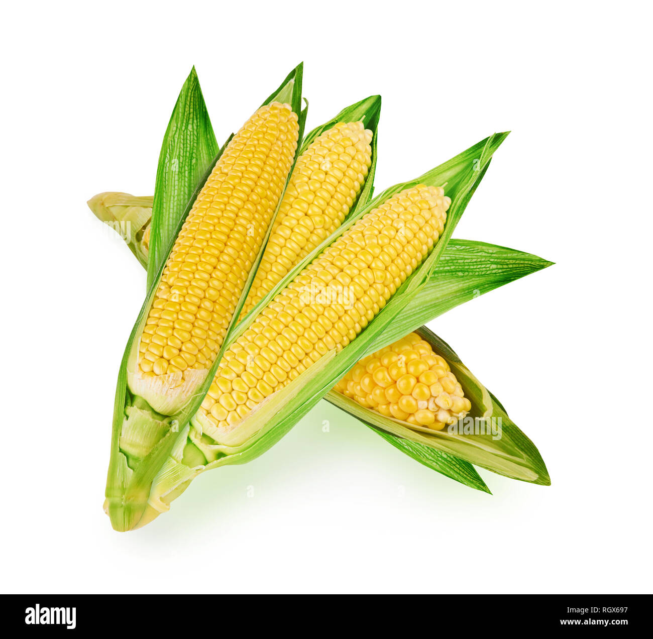 Ear sweetcorn leaves isolated on hi-res stock photography and images ...