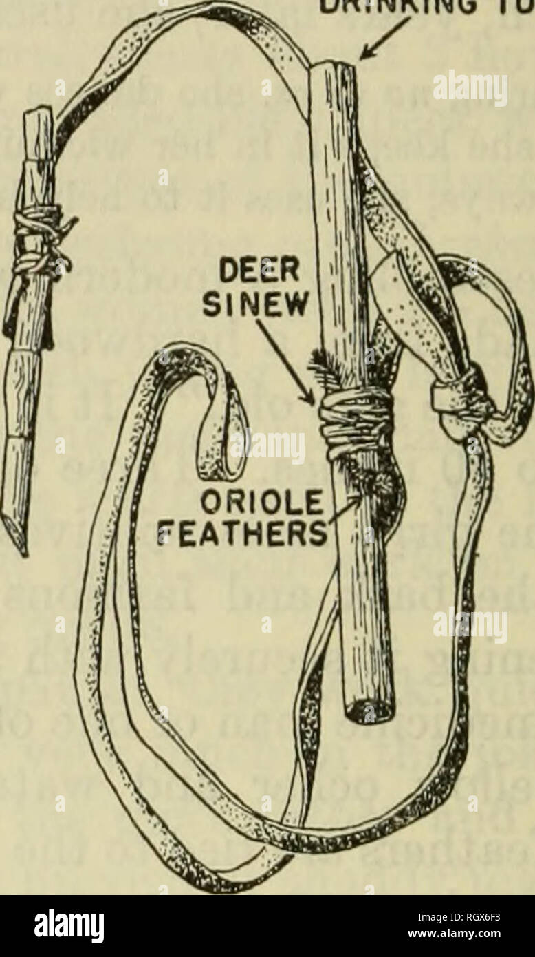 . Bulletin. Ethnology. DRINKING TUBE / SCRATCHING STICK '. GREEN YELLOW ...