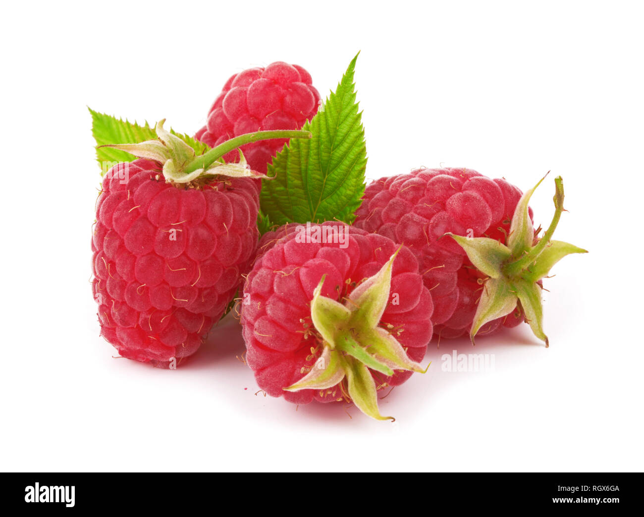 Raspberry fruit isolated over white background Stock Photo - Alamy