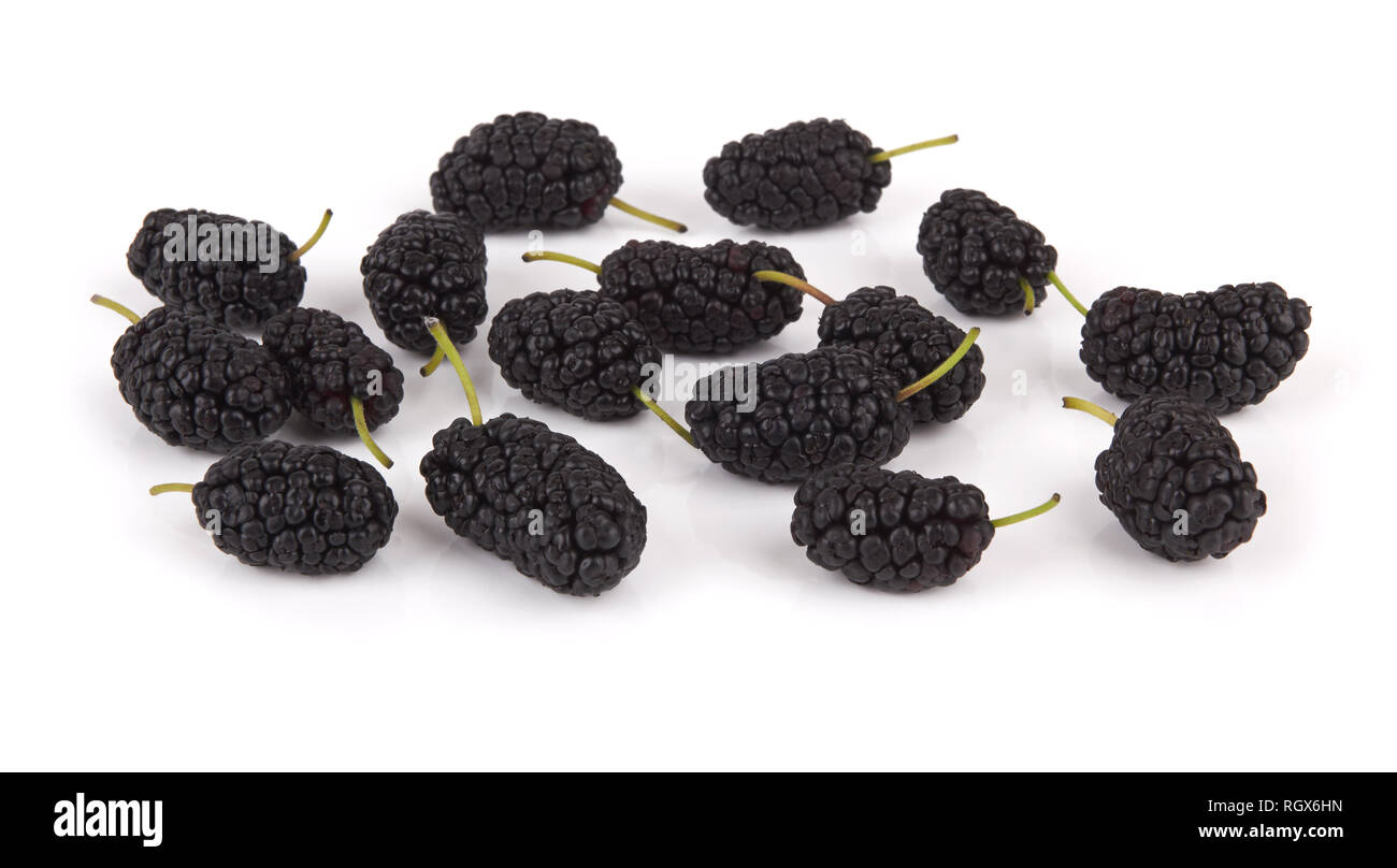 Black mulberries isolated on a white background Stock Photo - Alamy
