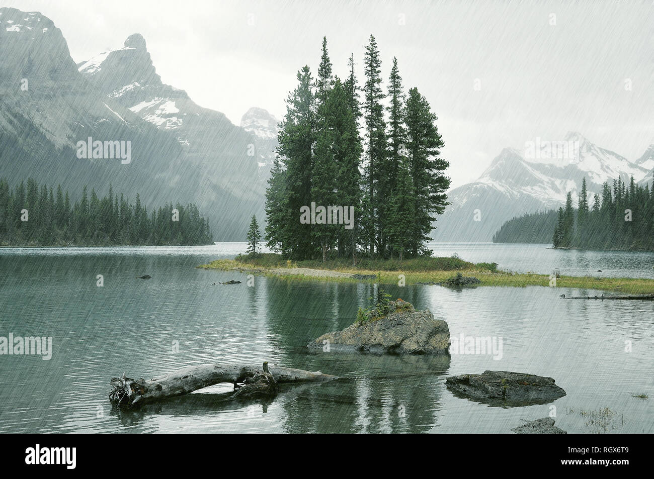Rain forest jasper hi-res stock photography and images - Alamy