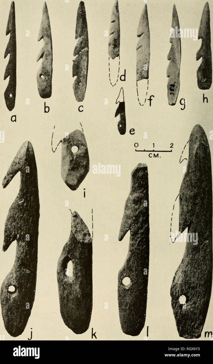 Bone harpoon hi-res stock photography and images - Alamy