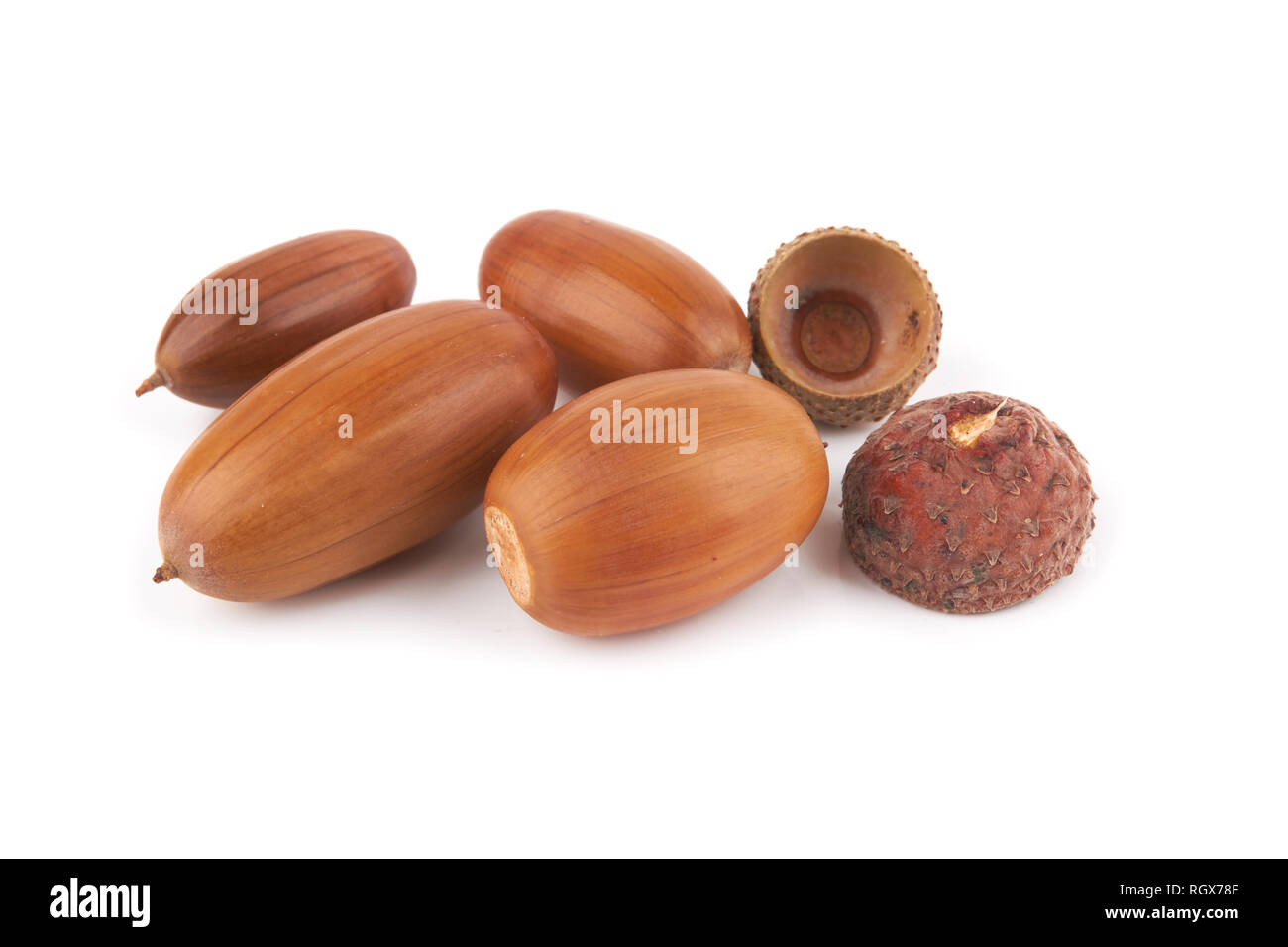 Dried acorns isolated on a white background Stock Photo - Alamy