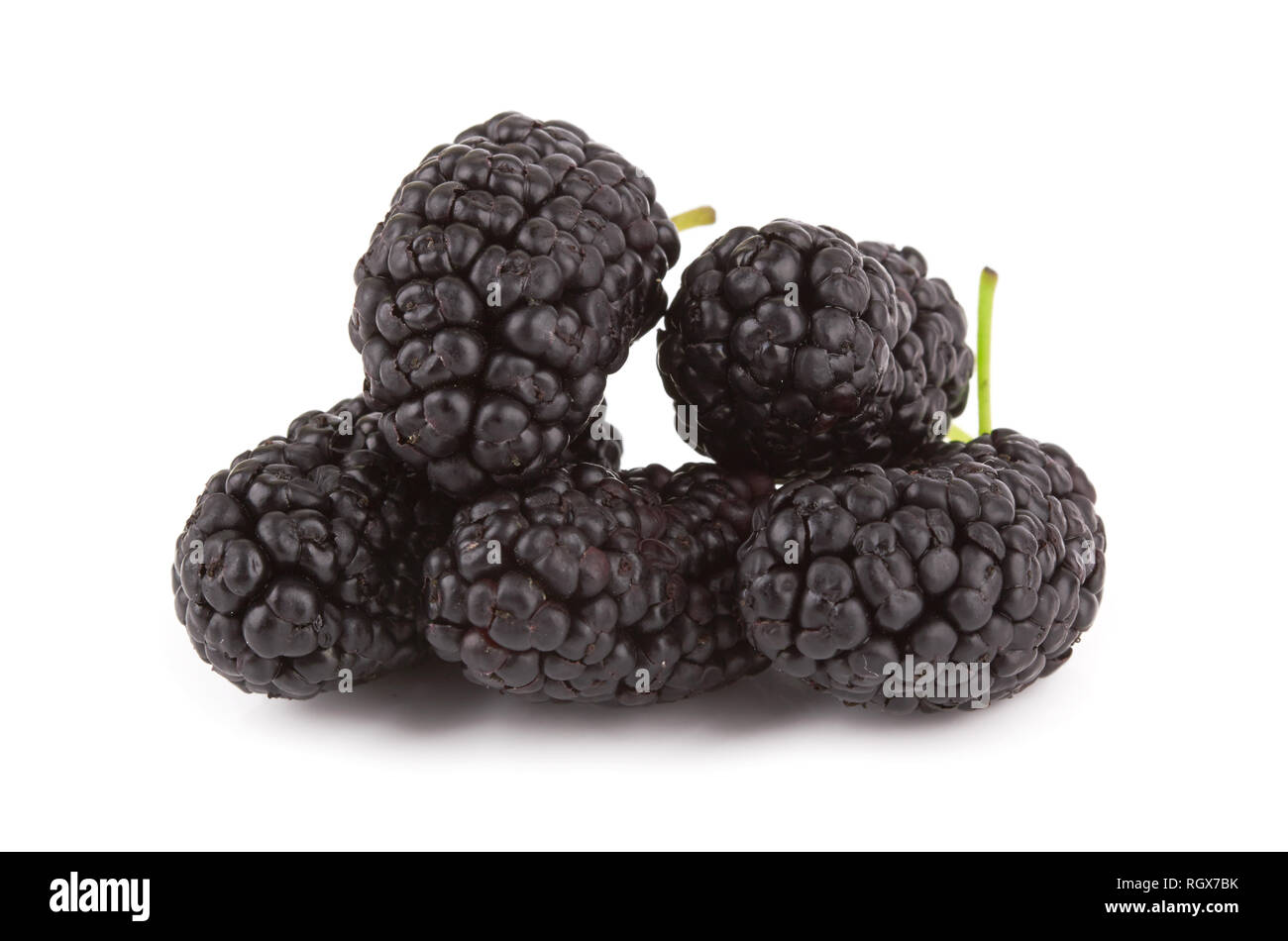Black mulberries isolated on a white background Stock Photo - Alamy