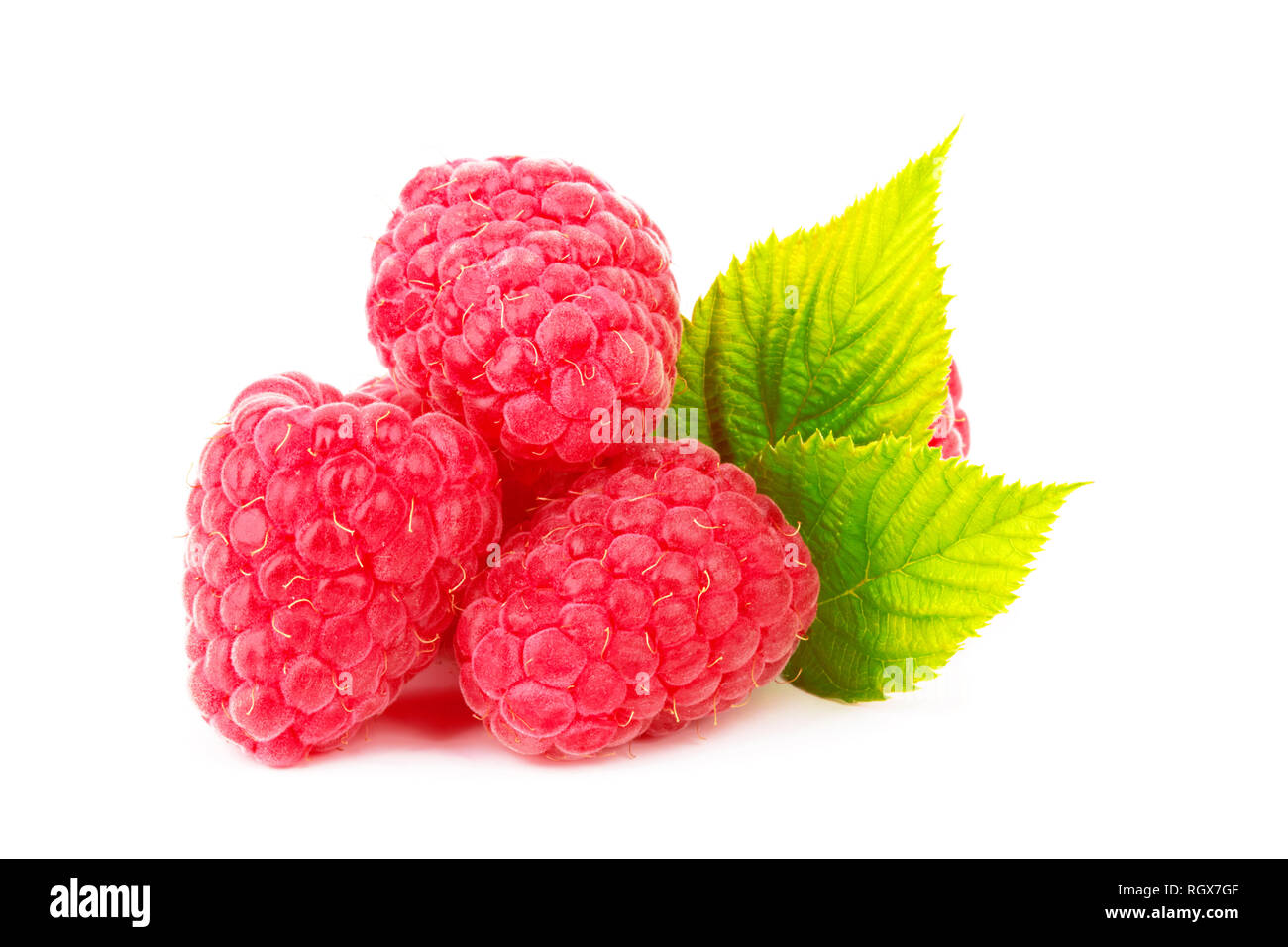 Raspberry fruit closeup isolated on white background Stock Photo - Alamy