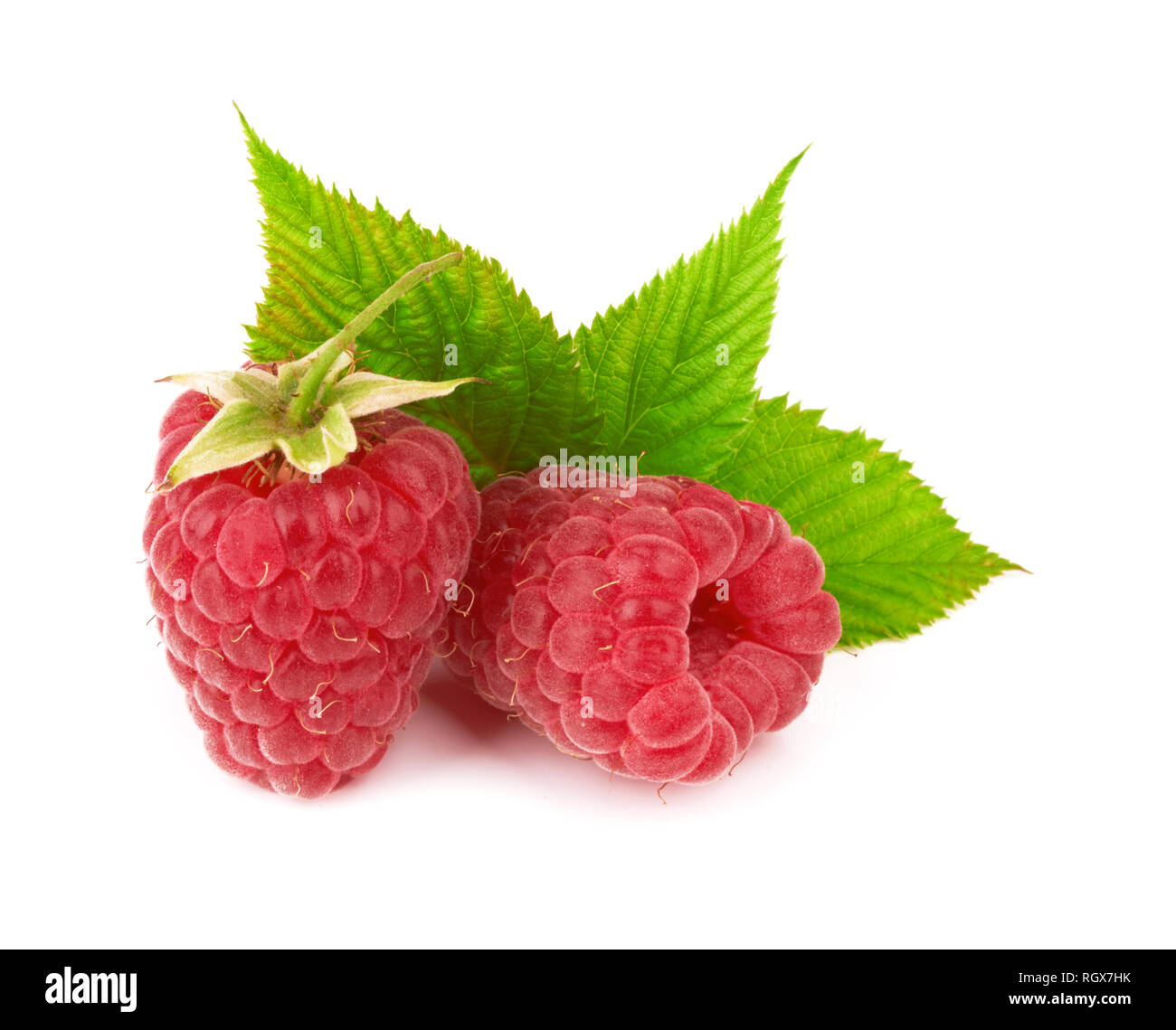 Raspberry fruit closeup isolated on white background Stock Photo - Alamy