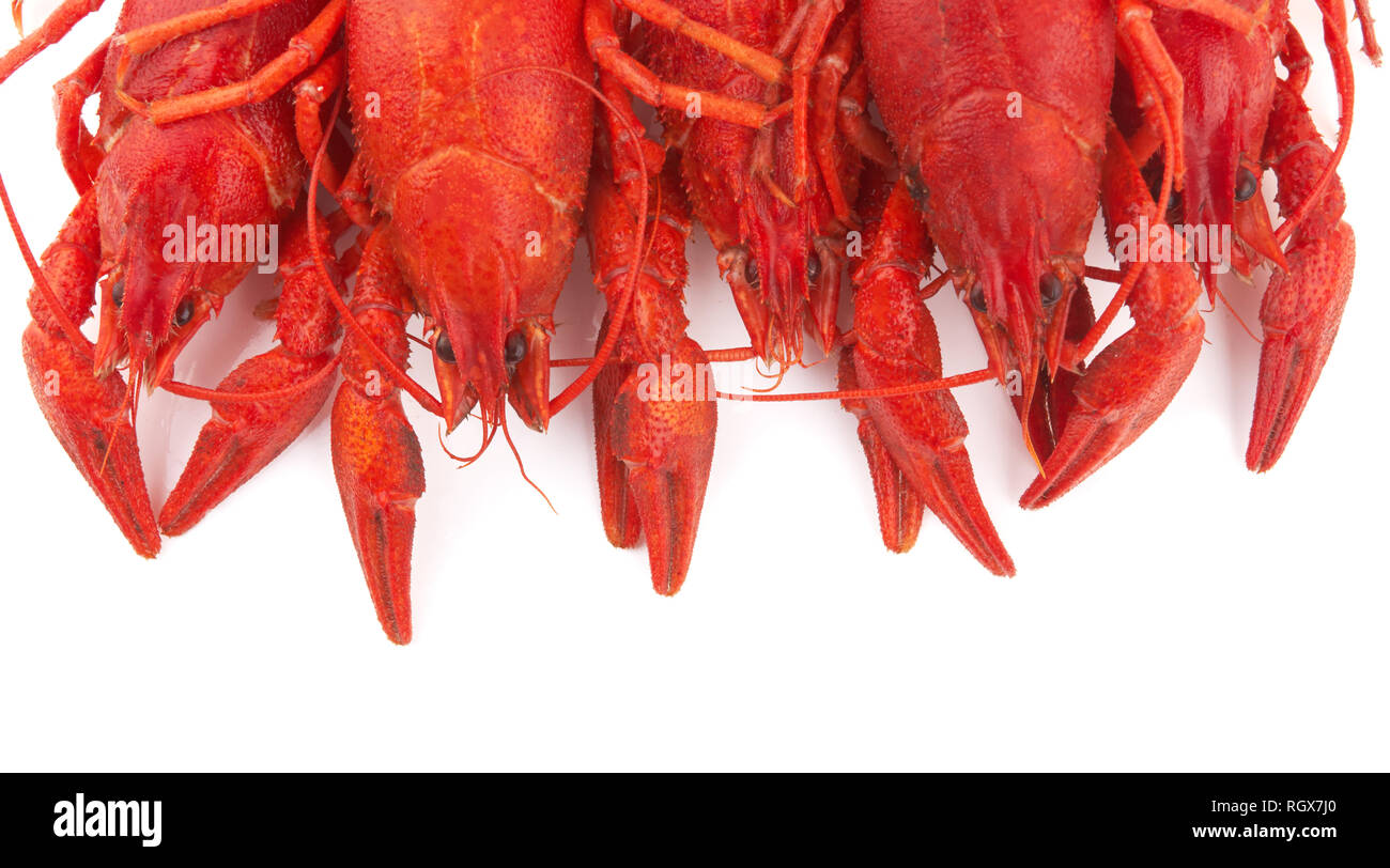 bunch boiled crayfish on a white background Stock Photo - Alamy