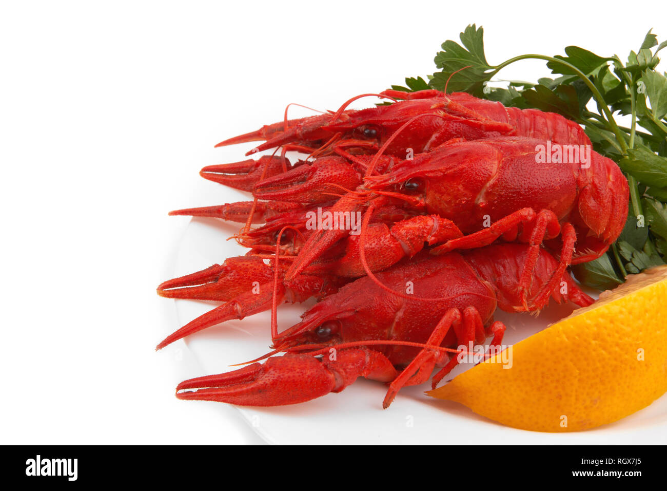 Boiled crayfish on the plate on white background Stock Photo - Alamy