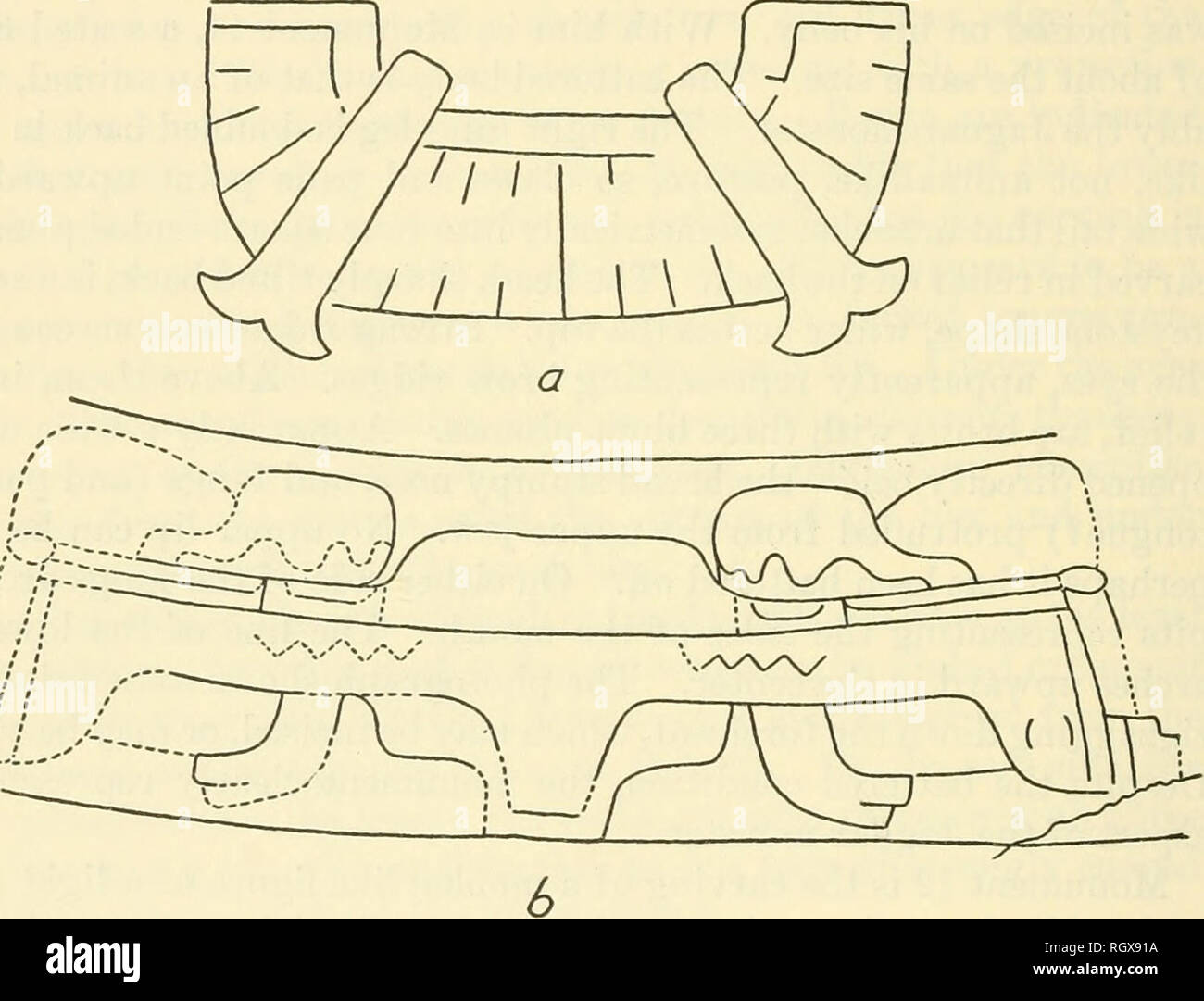 Flaring ears hi-res stock photography and images - Alamy