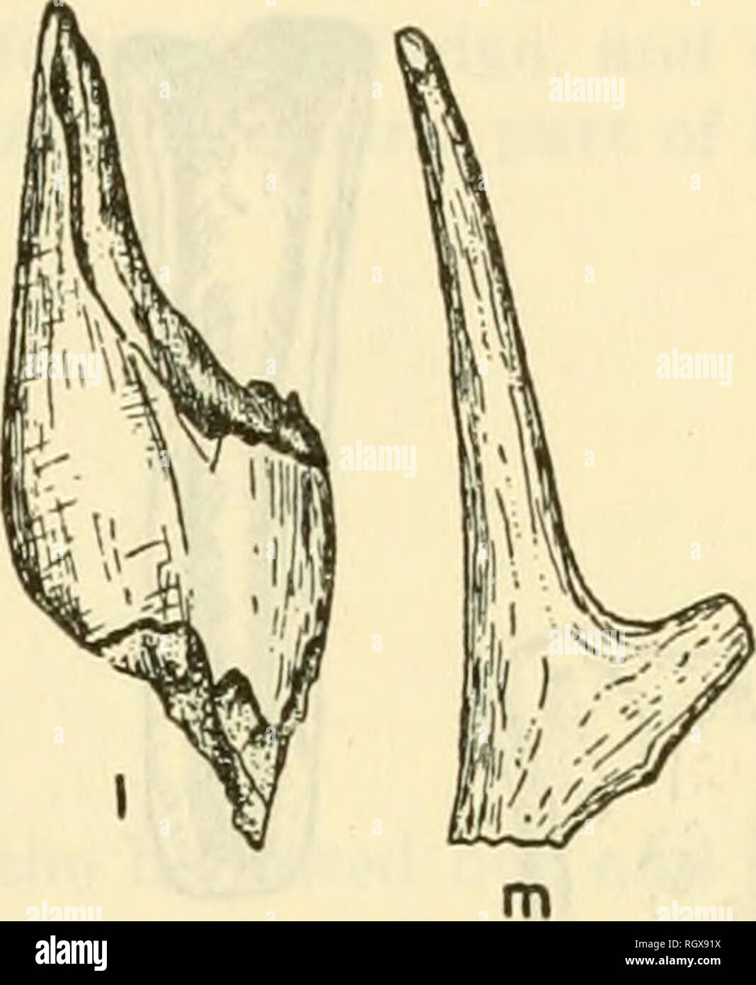 Sharpen of edges hi-res stock photography and images - Alamy