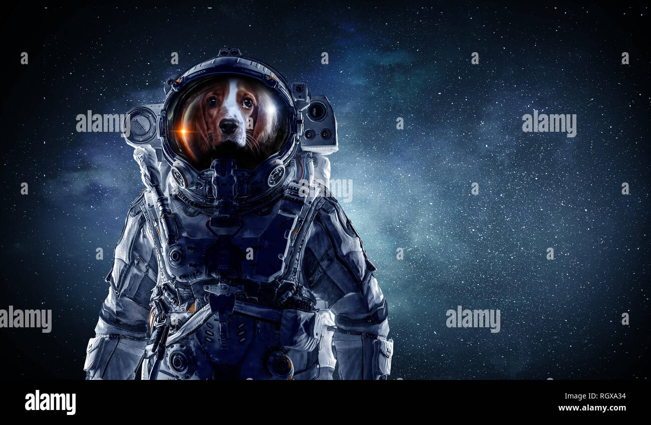 Astronaut dog wearing space suit against starry sky. Mixed media Stock ...