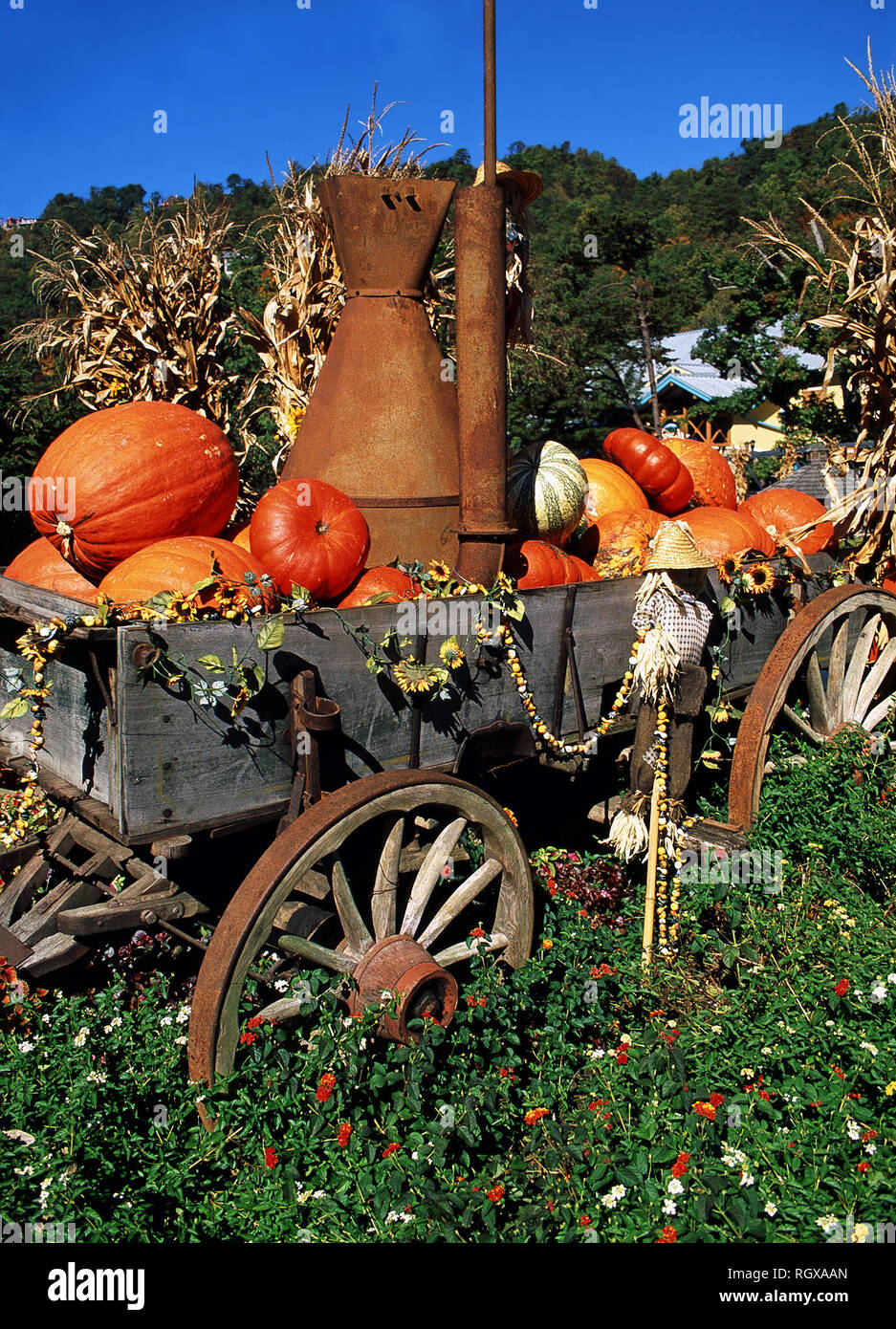 Fall display,wagon and pumpkins,Tennessee Stock Photo - Alamy