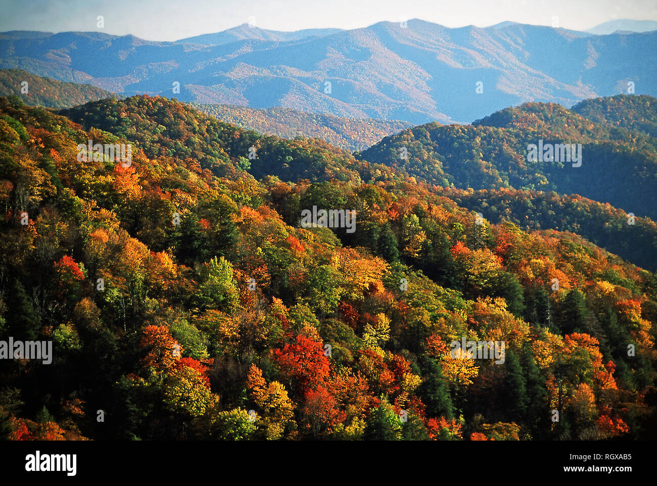 Fall foliage,Great Smoky Mountain National Park,Tennessee Stock Photo ...