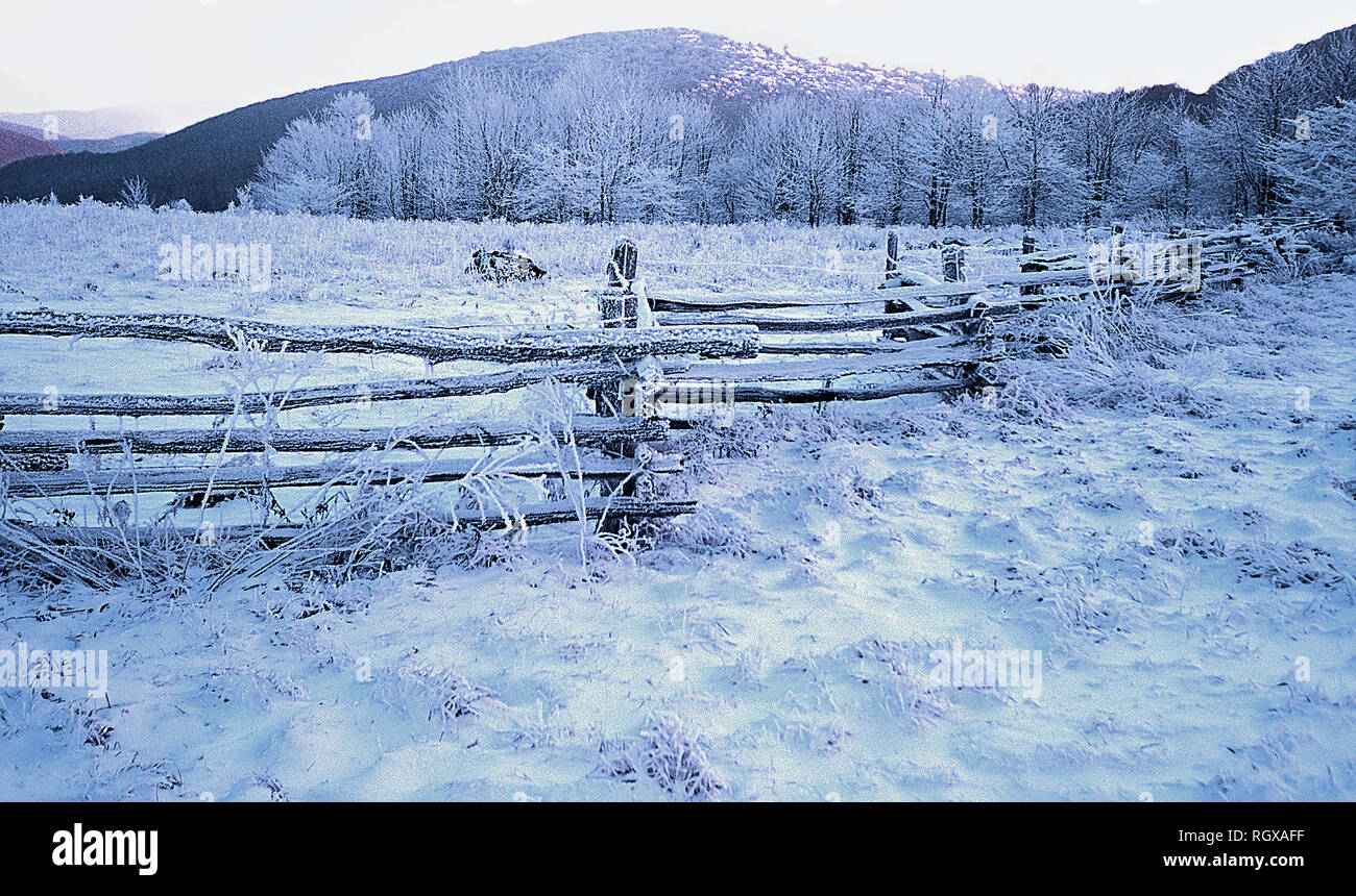 Mount Rogers National Recreation Area High Resolution Stock Photography ...