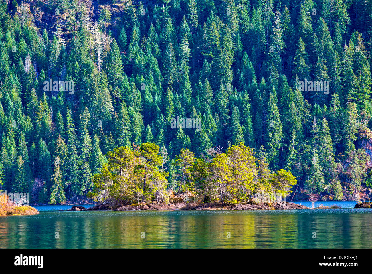 View of Gordon Bay in Cowichan Lake during the fall, taken on vancouver ...