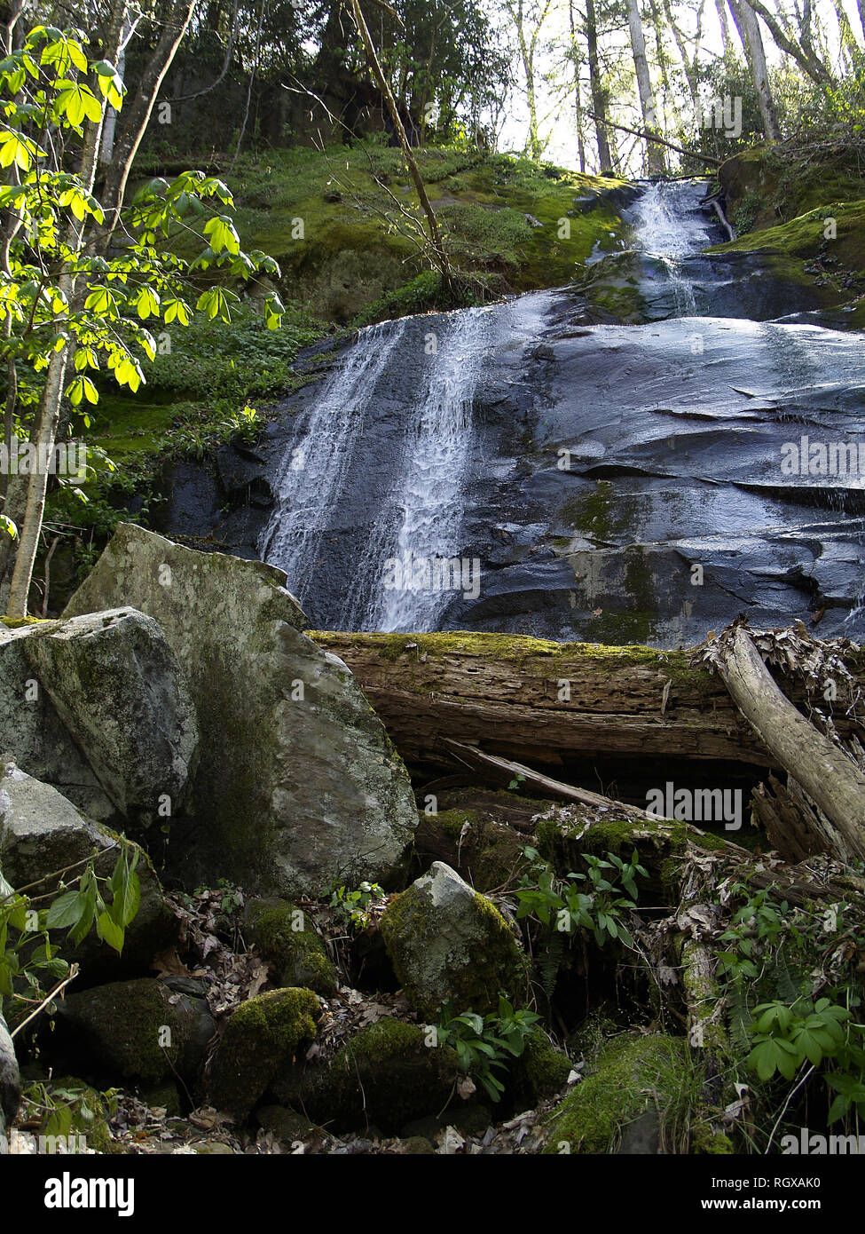 Walking Fern Falls,Great Smoky Mountain National Park,Tennessee Stock ...