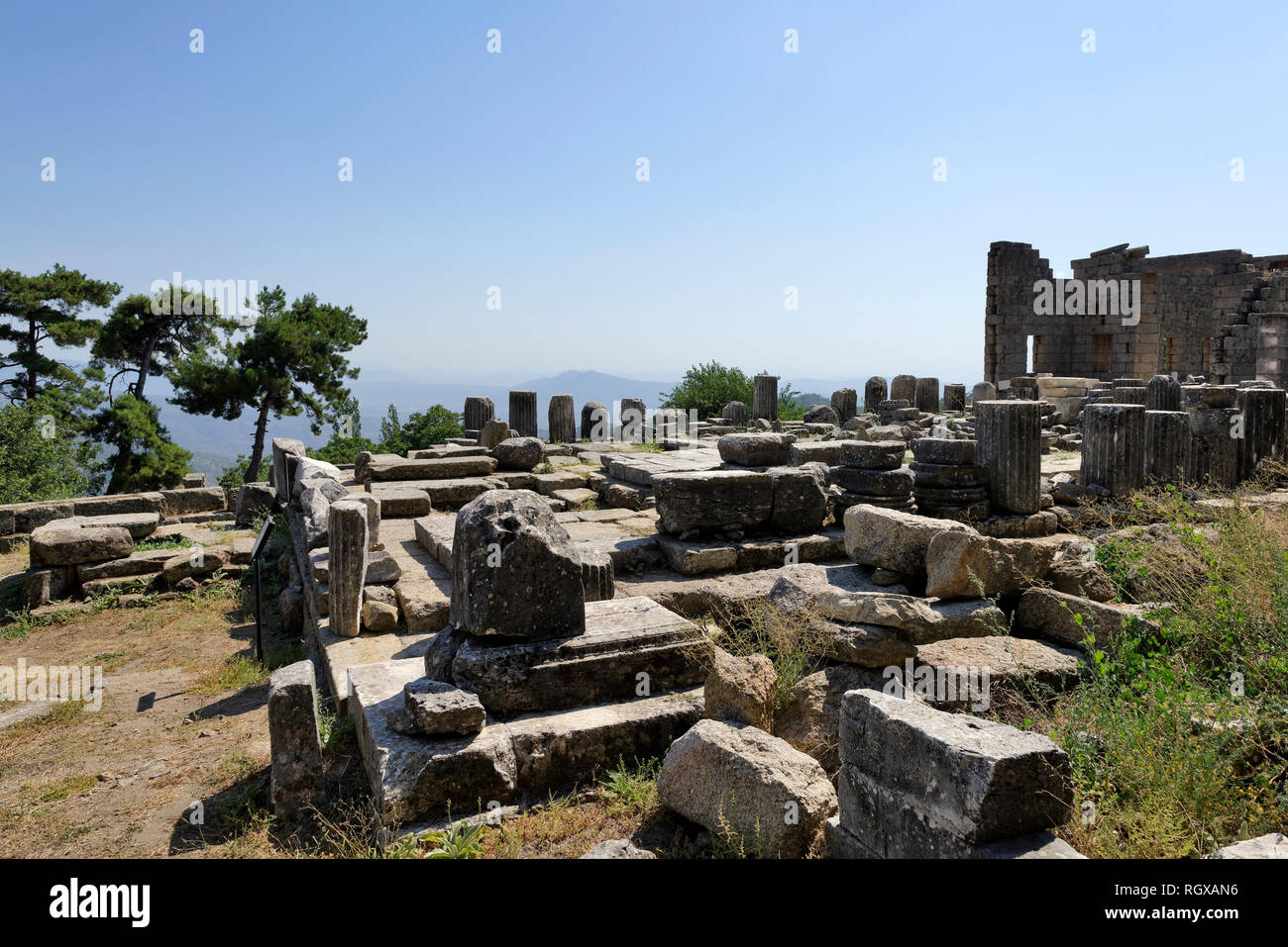 Labraunda zeus hi-res stock photography and images - Alamy