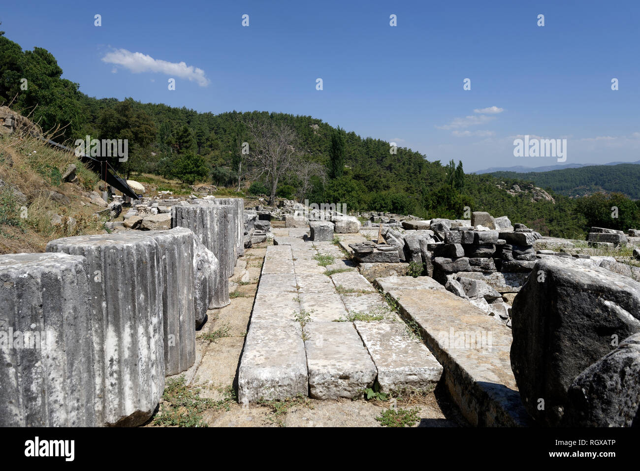 The Temple of Zeus Stratios dating from the 4th century BC, Labranda ...