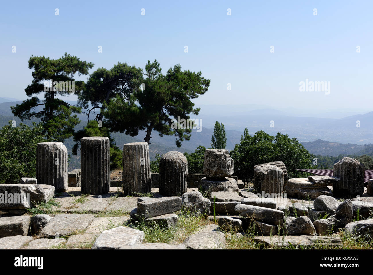 Labraunda zeus hi-res stock photography and images - Alamy