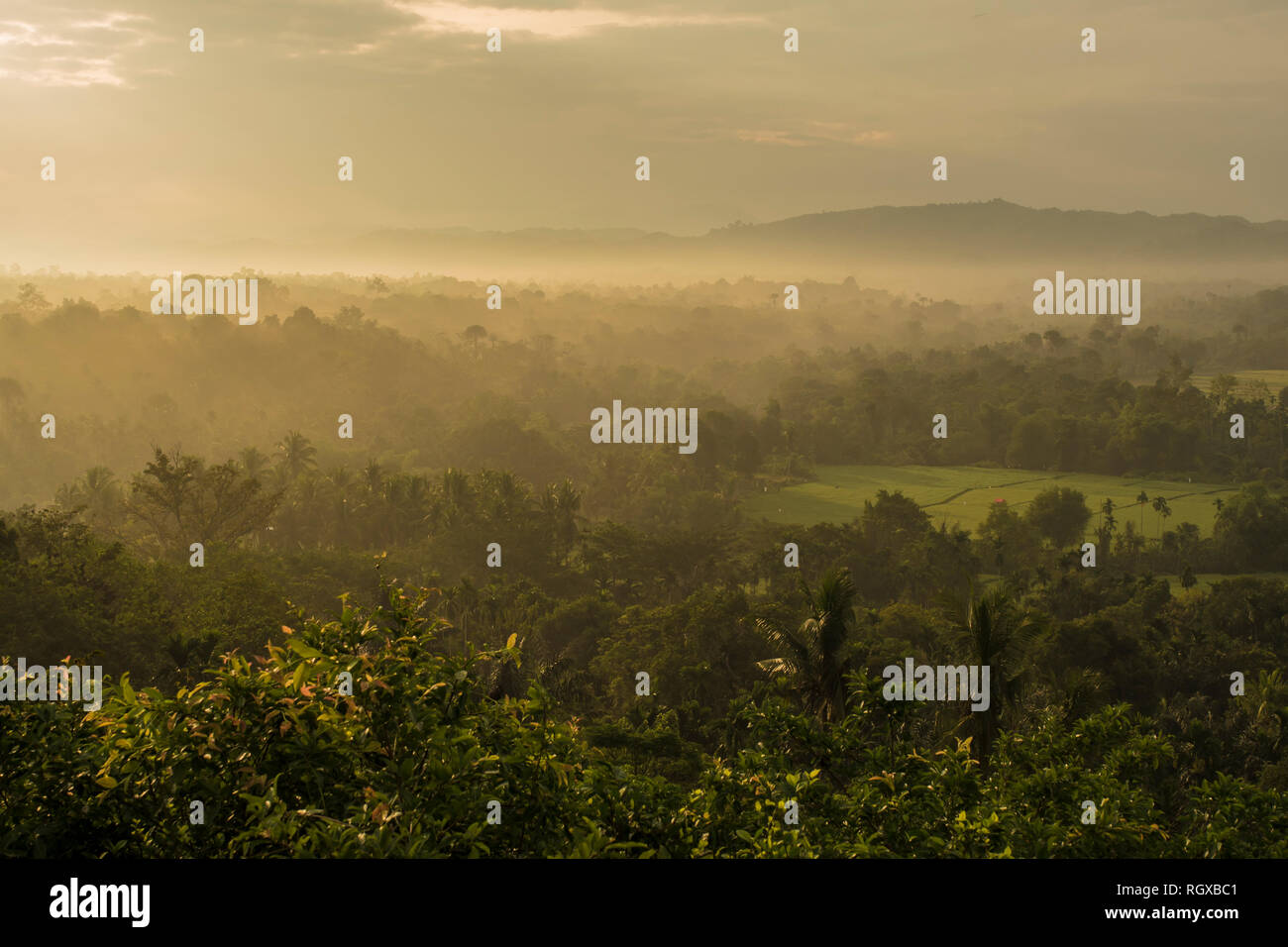 Sumatra Forest People High Resolution Stock Photography and Images - Alamy