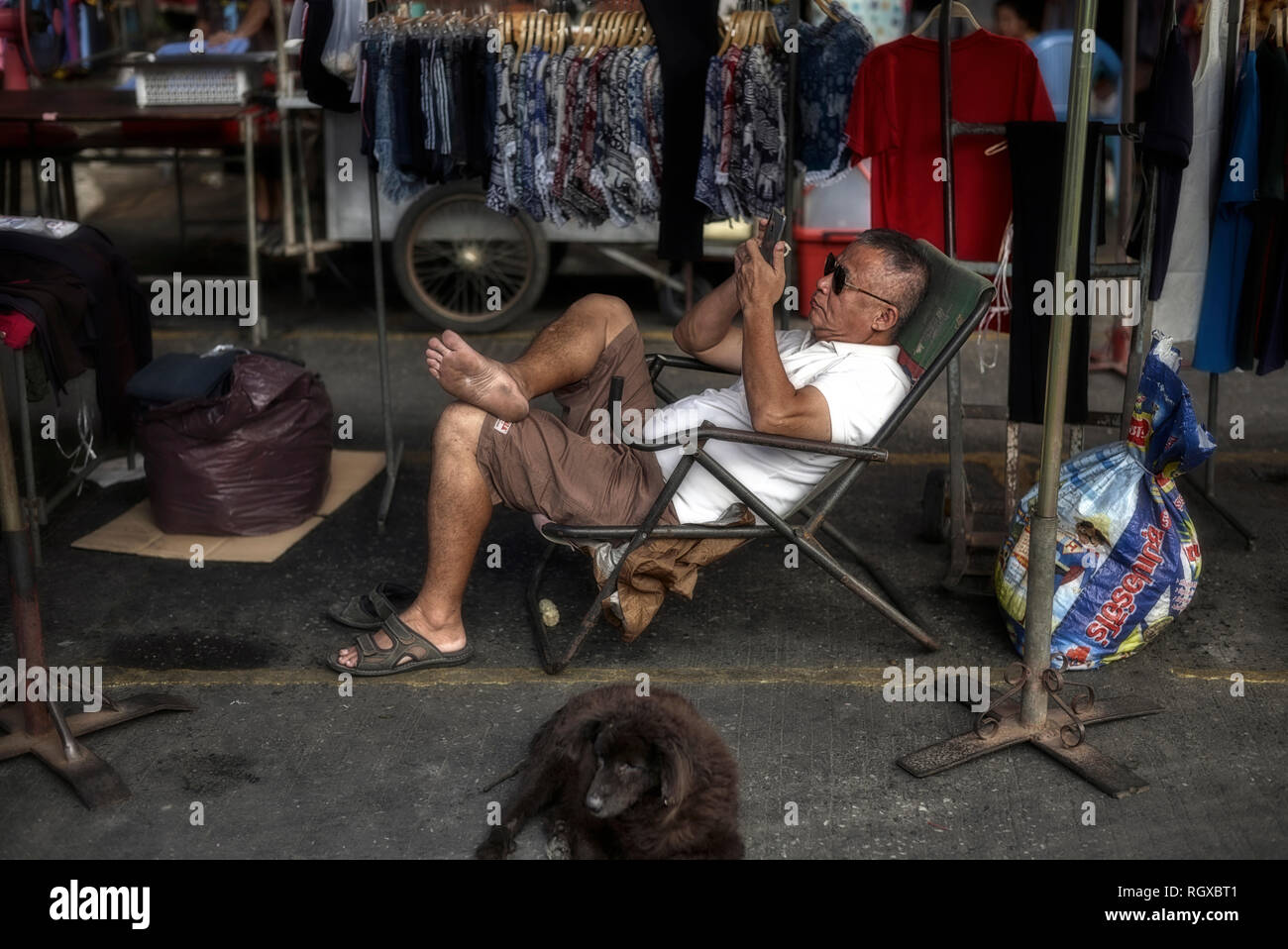 Man and dog. Man relaxing with smartphone and with his dog keeping him ...
