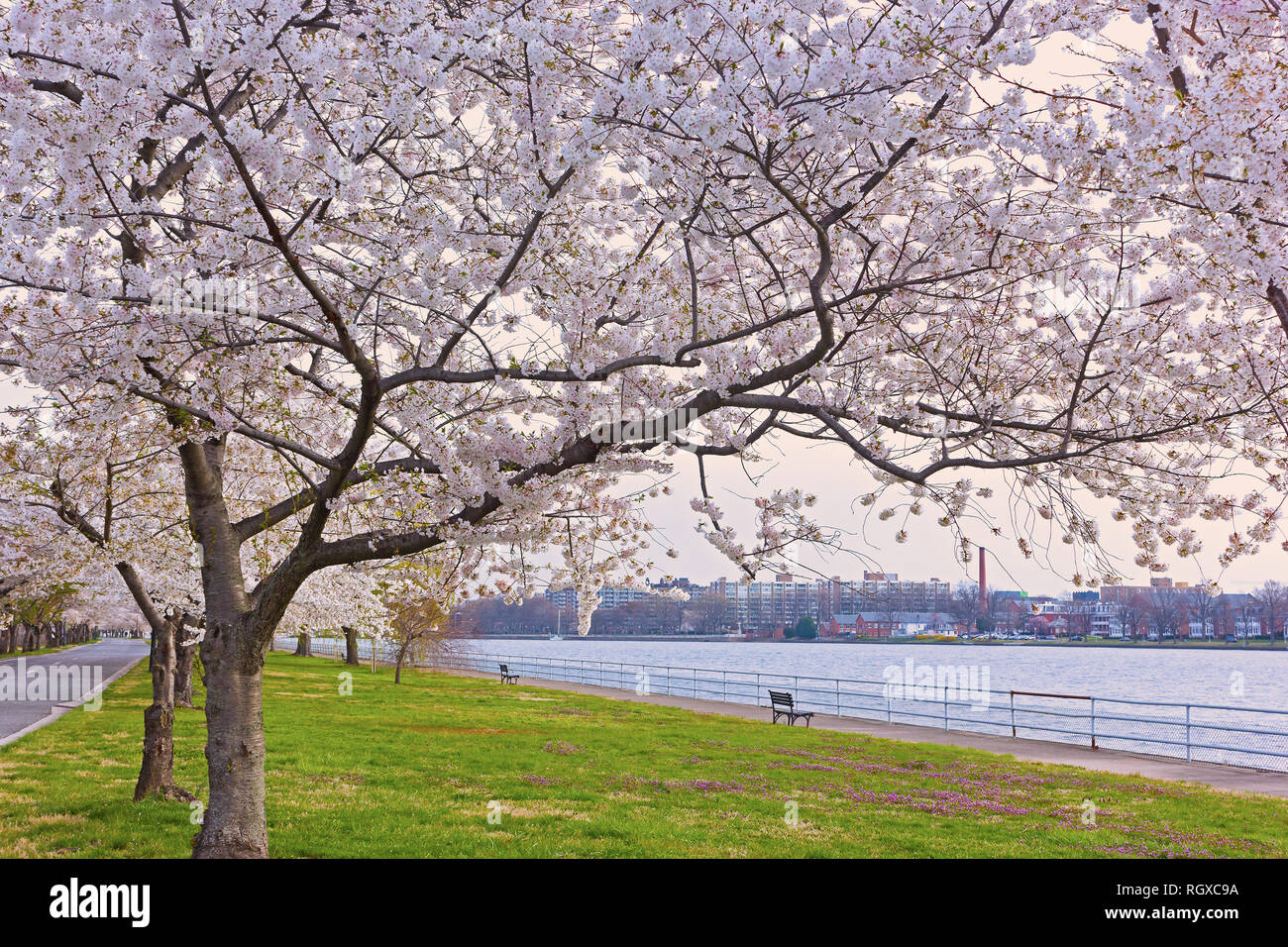 East potomac park scenery hi-res stock photography and images - Alamy