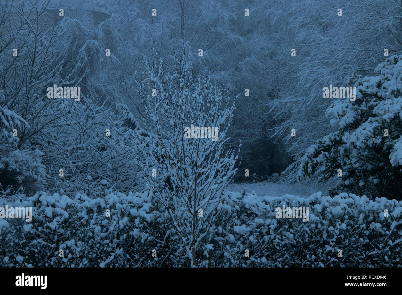 Donegal winter hi-res stock photography and images - Alamy