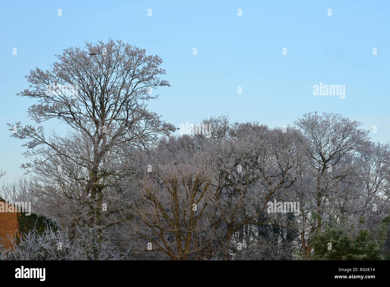 A Frozen morning in January in the UK Stock Photo - Alamy