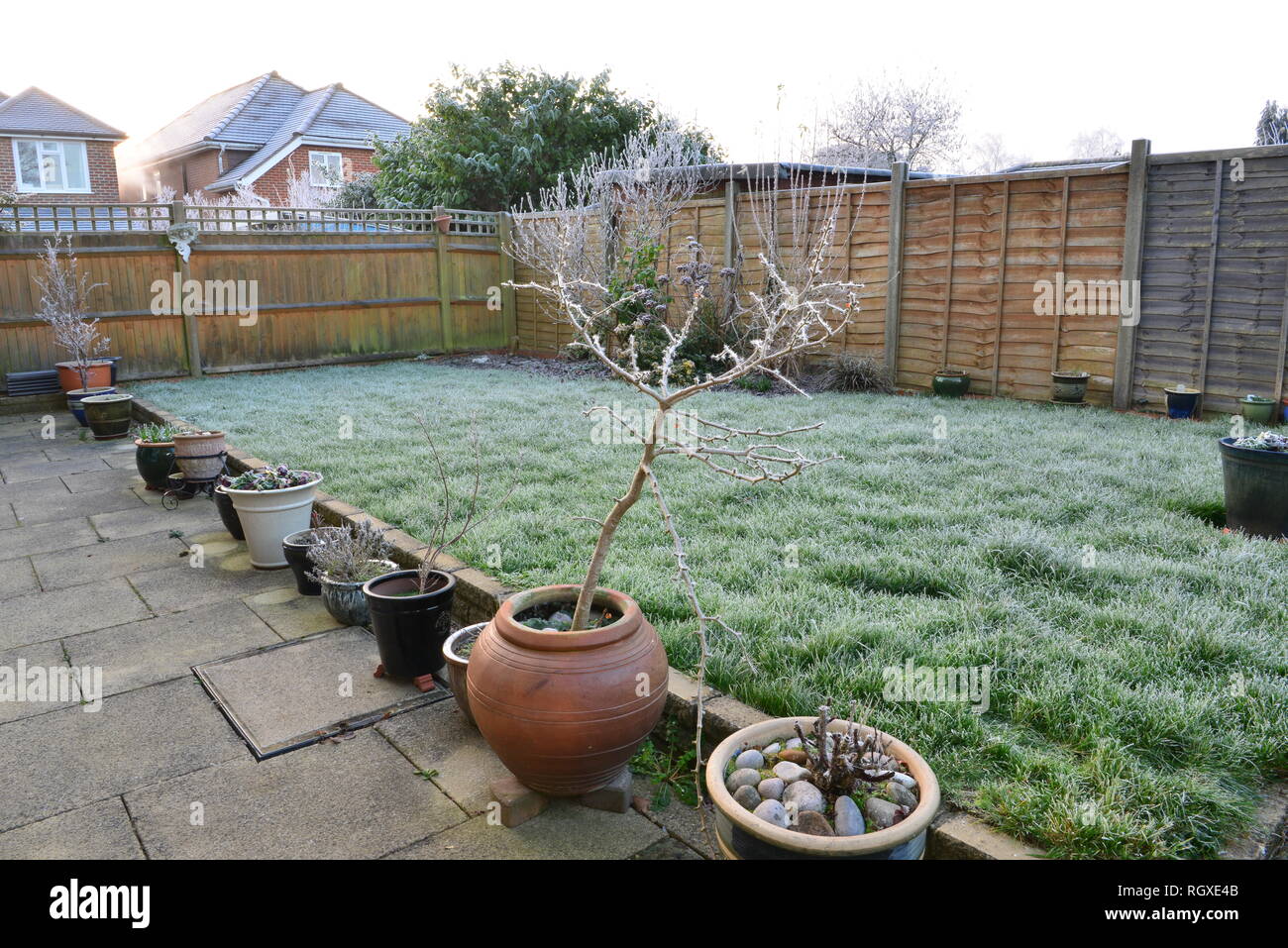 A Frozen morning in January in the UK Stock Photo - Alamy