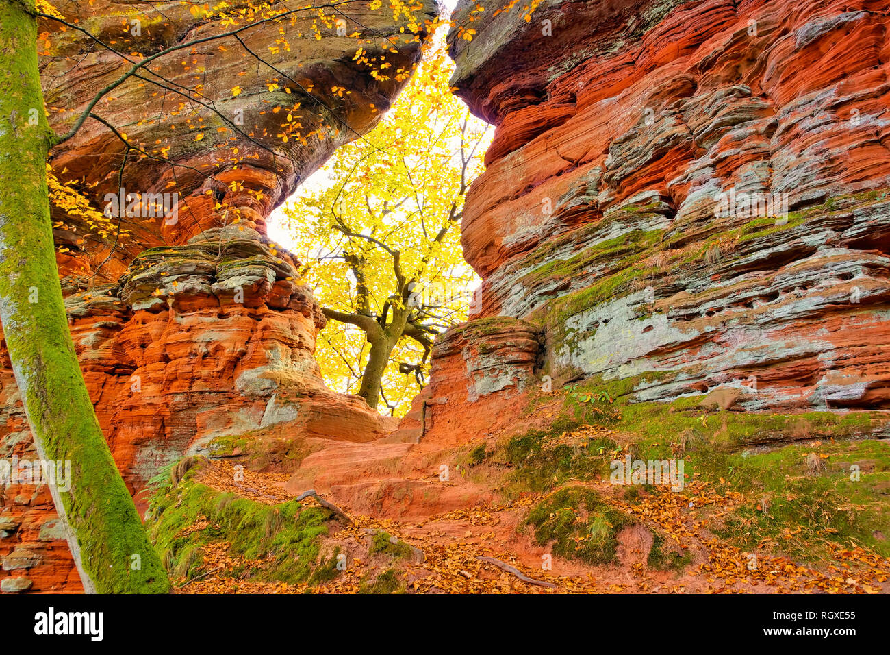 Altschlossfelsen rock in Dahn Rockland in autumn, Germany Stock Photo ...