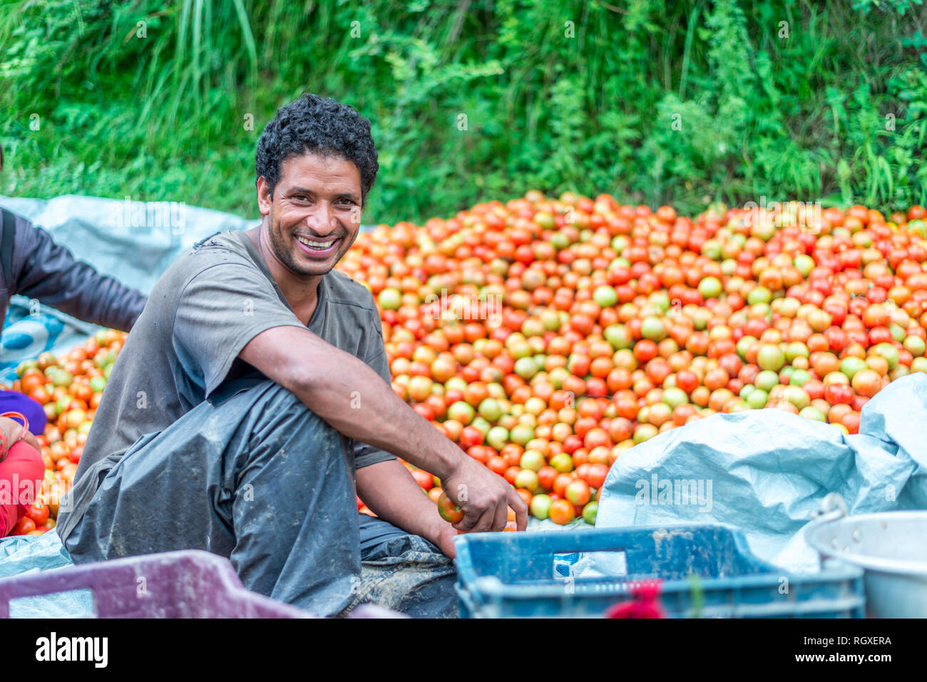 Kullu, Himachal Pradesh, India - August 06, 2018 : A man selling fresh ...