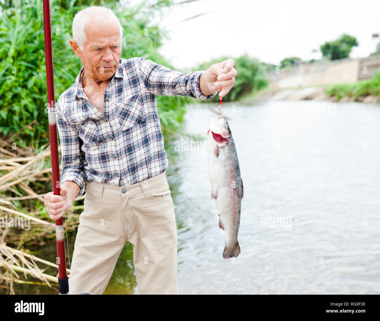 Cheerful adult fisherman removing fish from hook at lakeside on summer ...
