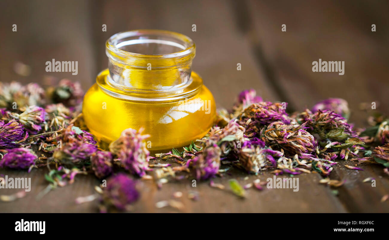 Red clover oil, herbal alternative medicinal plant, dried red clover ...