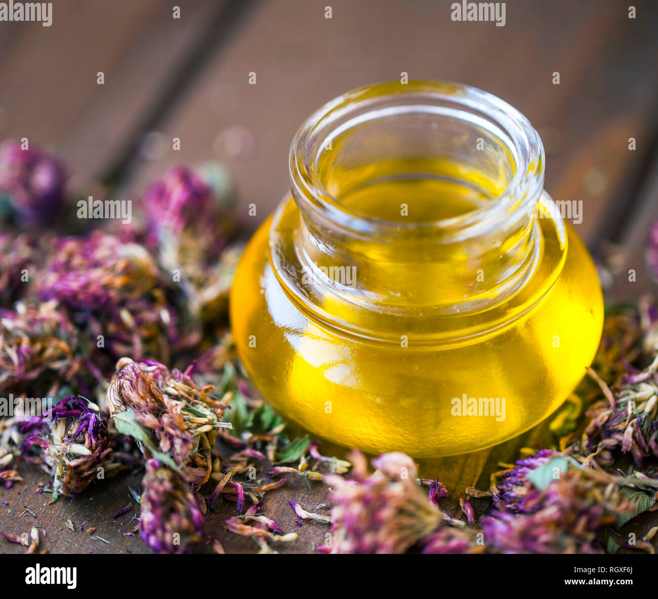 Red clover oil, herbal alternative medicinal plant, dried red clover ...