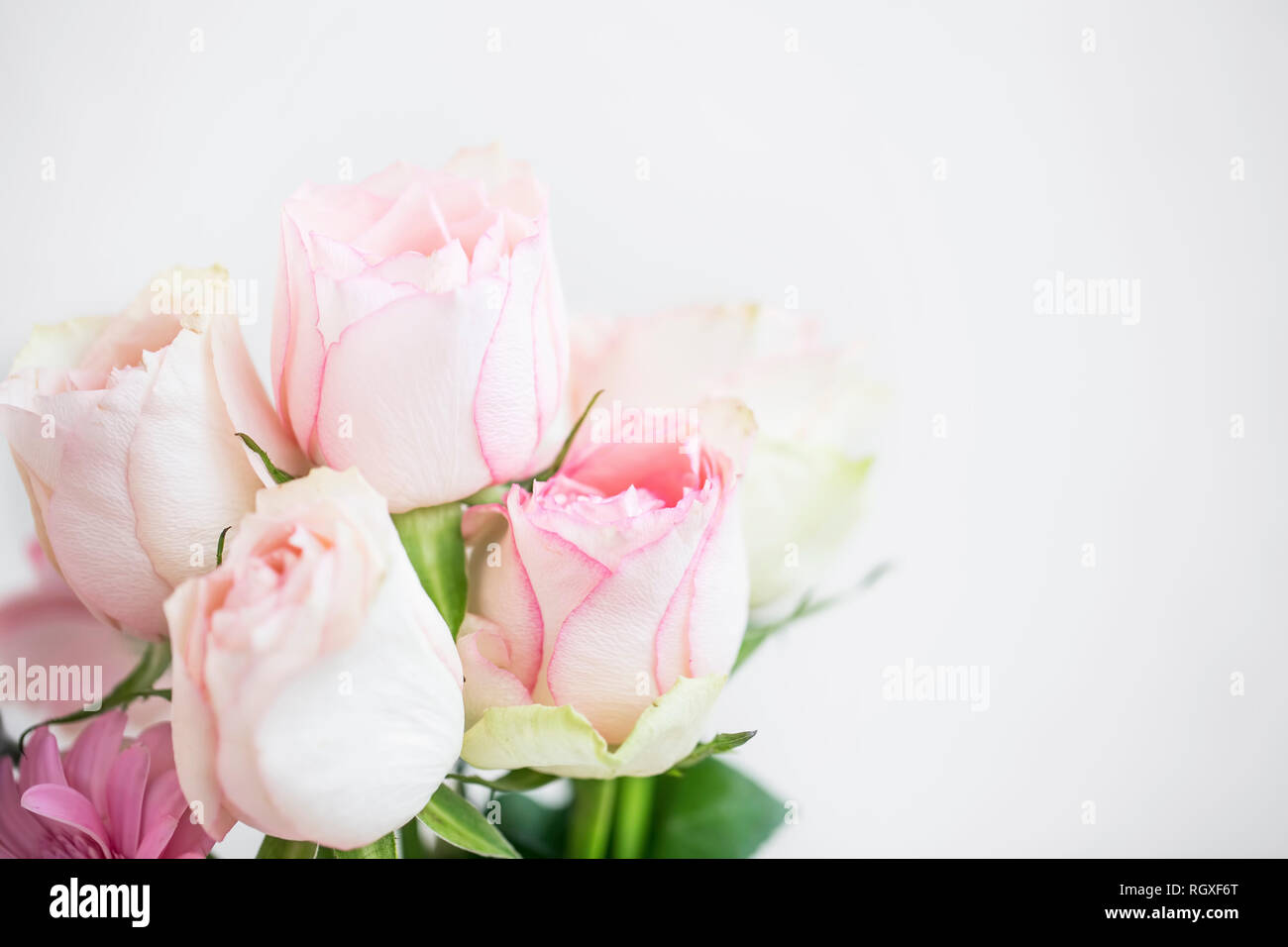 Pink roses bouquet, soft roses floral background with copy space Stock ...