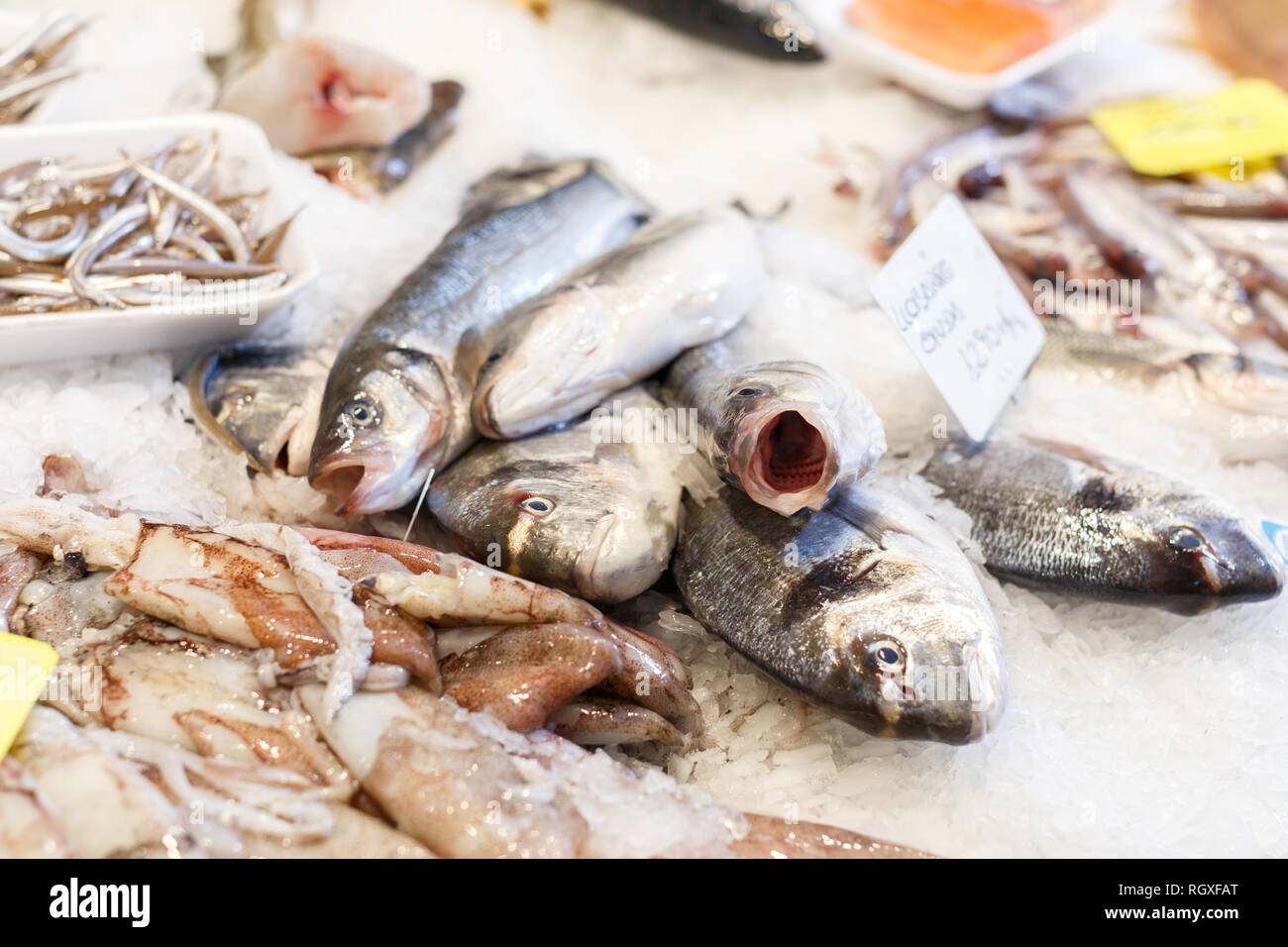 Open display with assorted seafood at fish market Stock Photo - Alamy