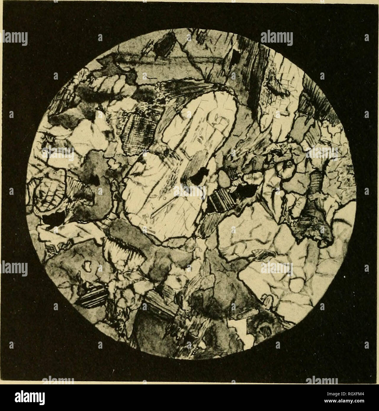 sillimanite under thin section