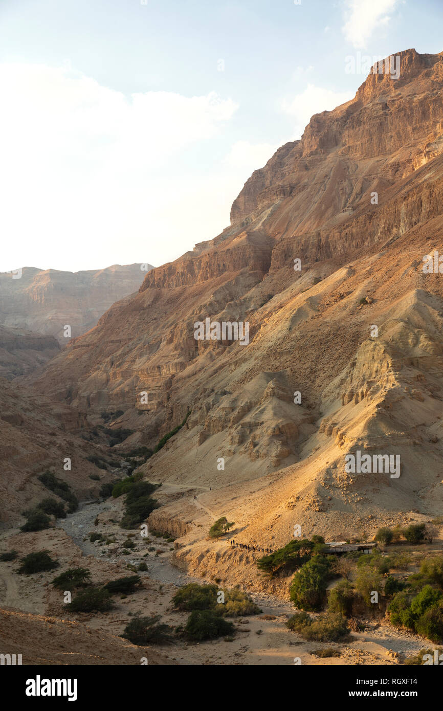 A beautiful Sunset landscape of Negev desert mountain in Israel. A ...