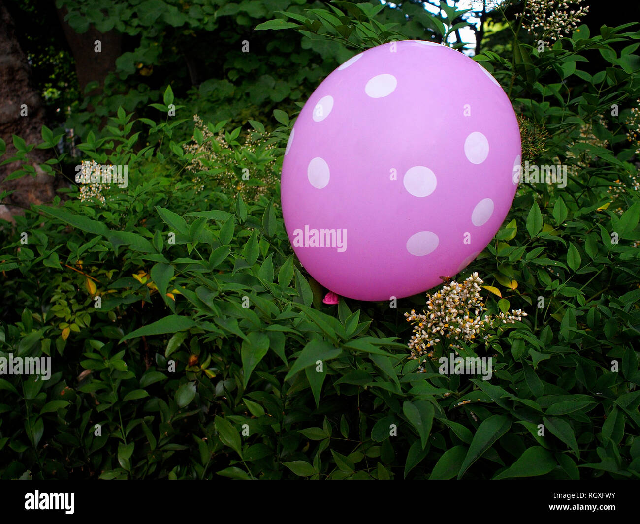 Pink balloon hi-res stock photography and images - Alamy