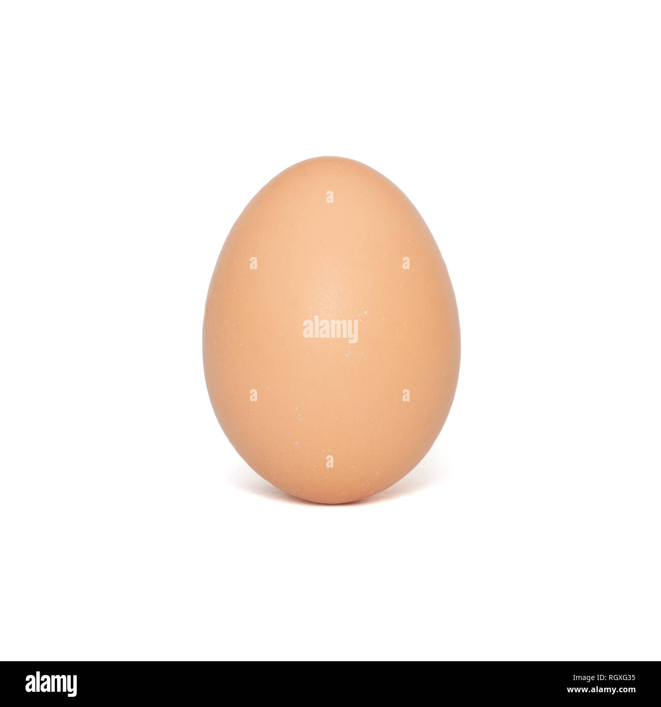 Egg on white background Stock Photo - Alamy