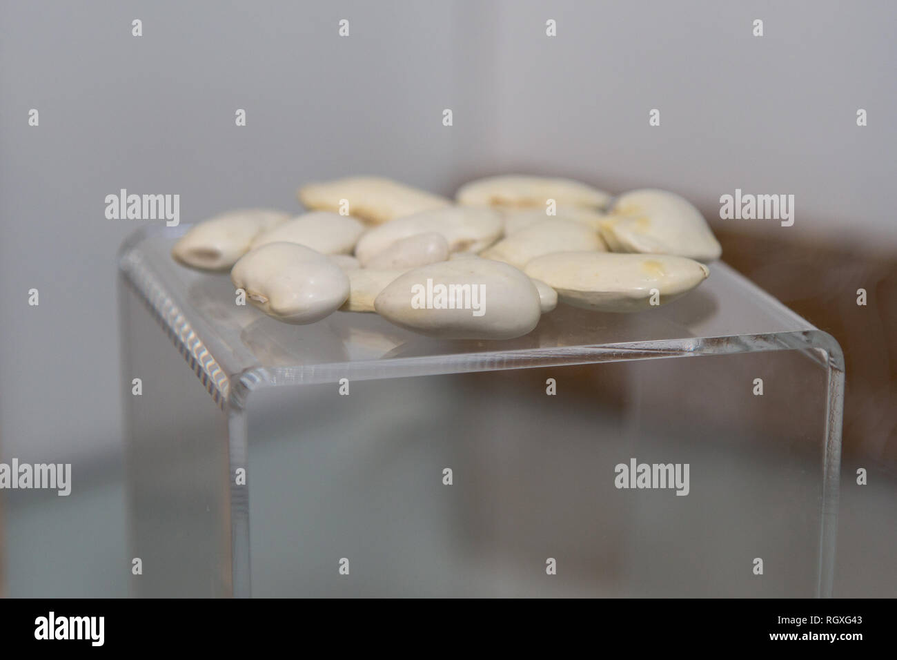 Transparent pedestal hi-res stock photography and images - Alamy