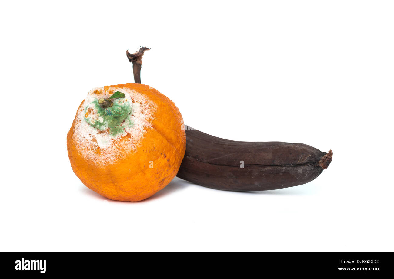 Rotten Fruits Stock Photos & Rotten Fruits Stock Images - Alamy