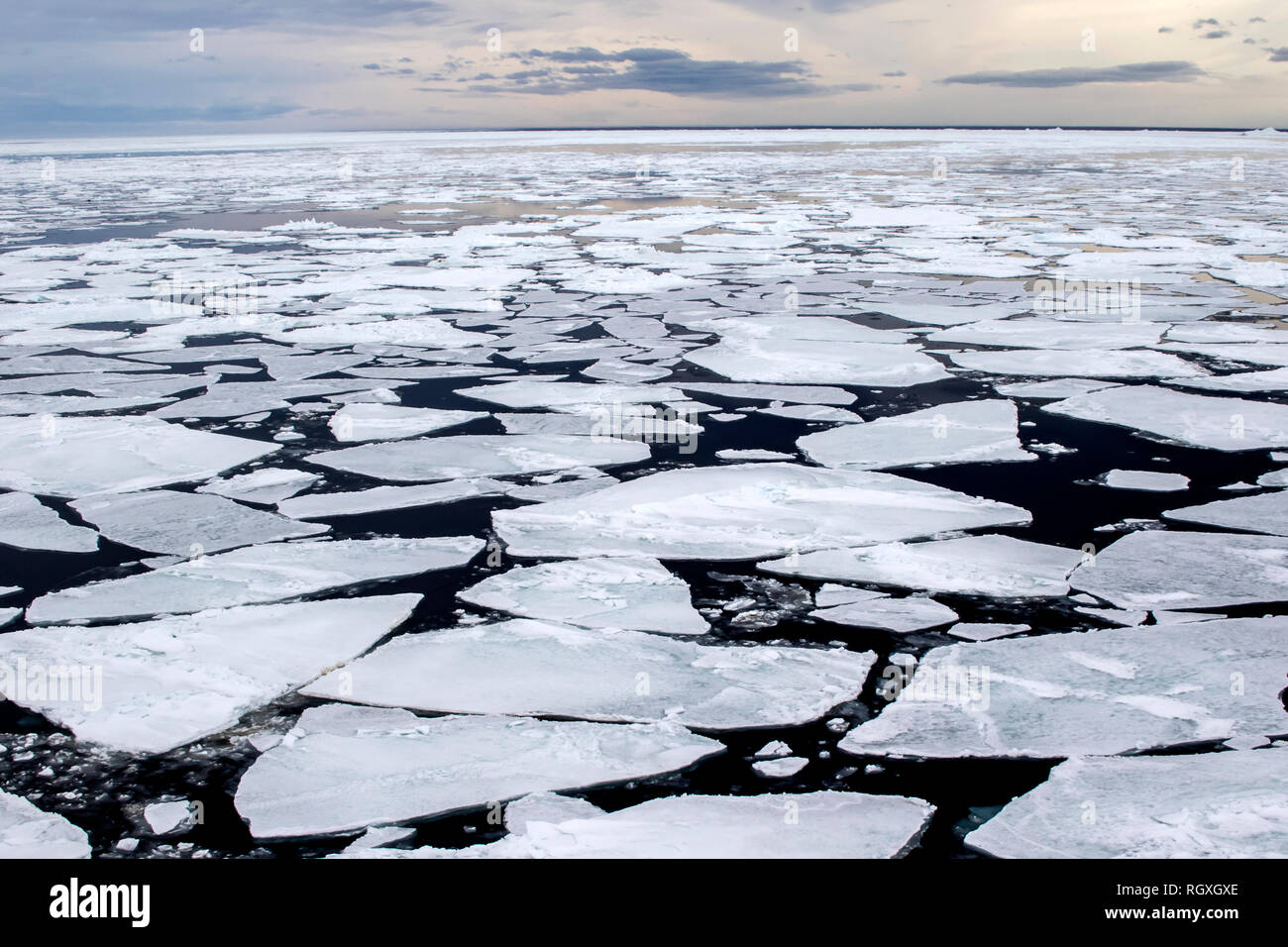 Breaking the ice on ice breaker Kapitan Khlebnikov in the Weddell Sea ...