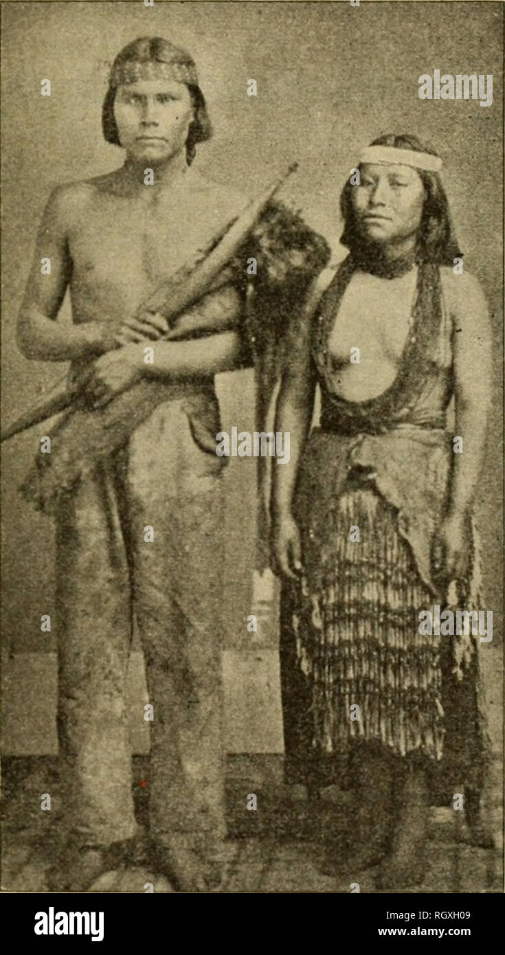 Tolomato hi-res stock photography and images - Alamy